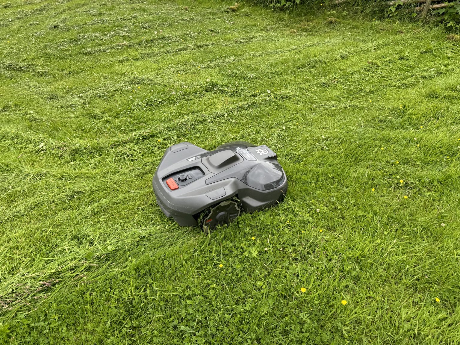 Eccellente con Husqvarna 430X NERA EPOS Nessun loop su una trama ...